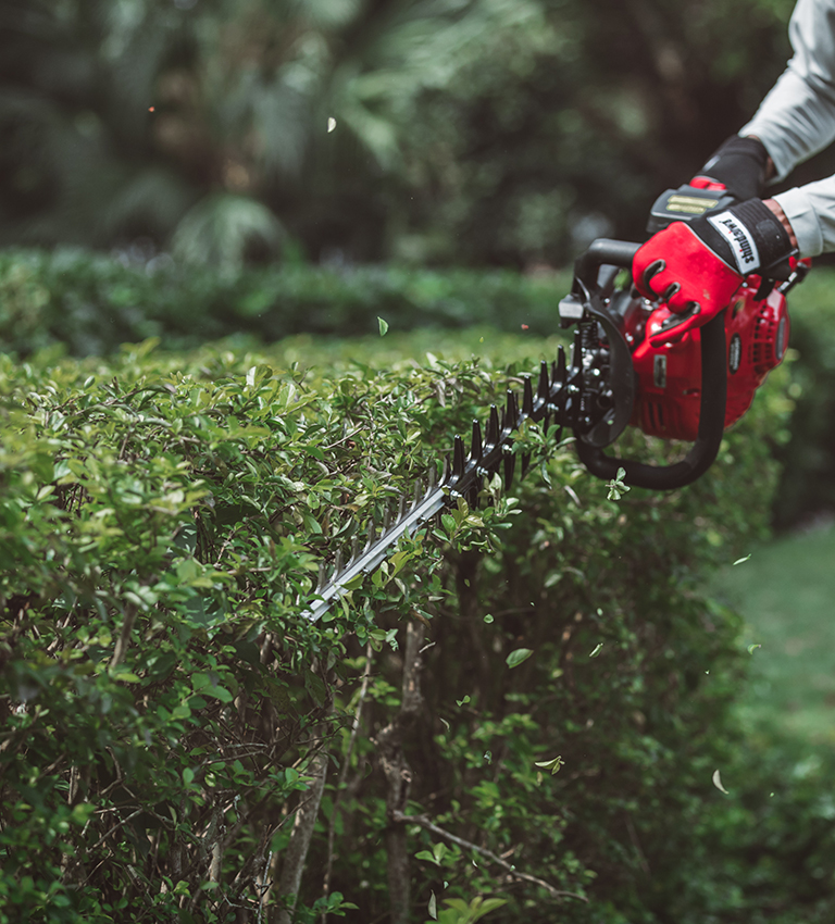 Double-sided Hedge Trimmer - SHINDAIWA