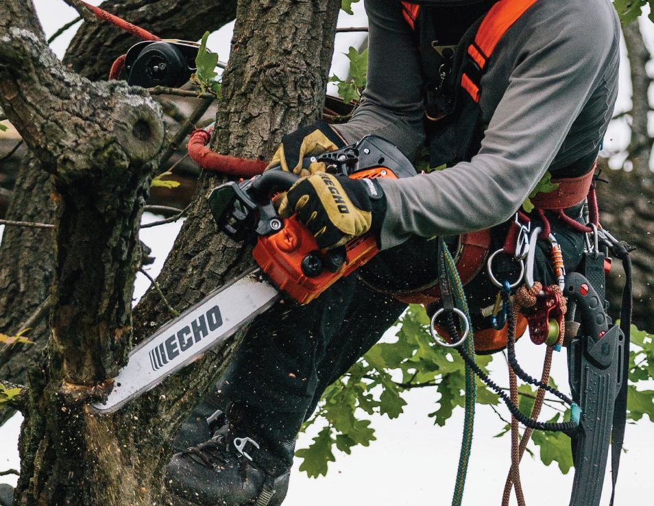 ECHO launch CS-362TES., News | ECHO