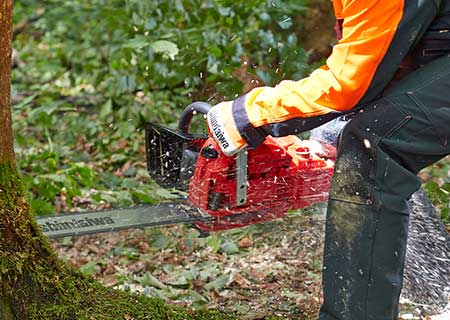 SHINDAIWA - Professional machines for green maintenance