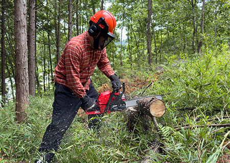 Shindaiwa release 410 and 493 chainsaws , News | SHINDAIWA